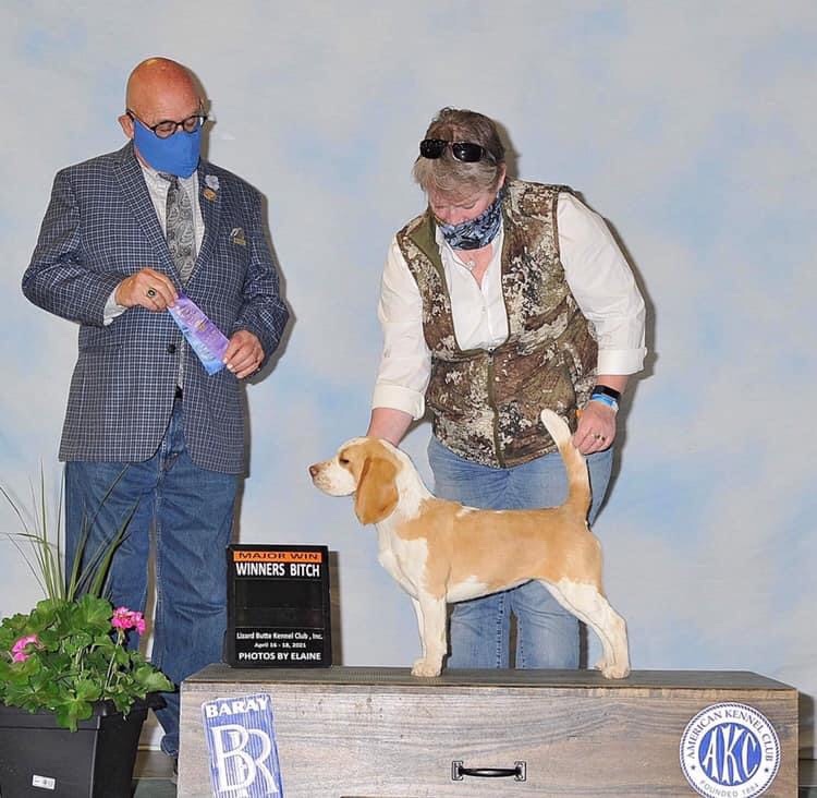 Promising Youngsters – JALHAR BEAGLES